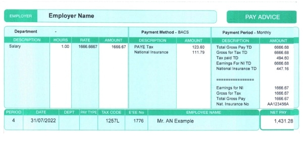 Standard Green Payslip - Payslip Plus
