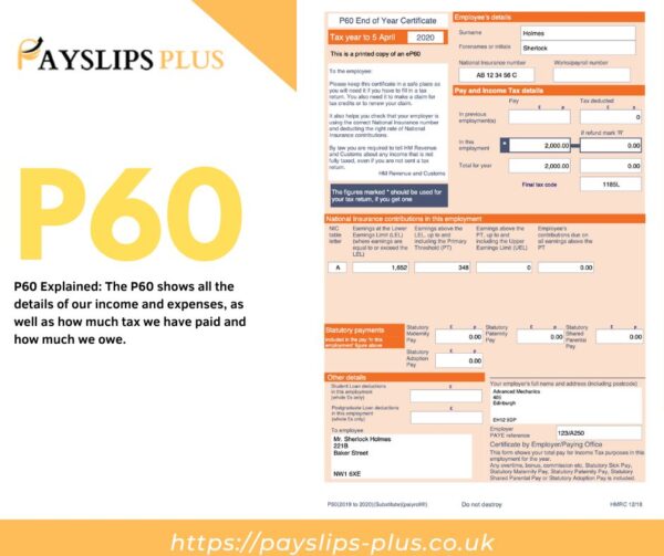 P60 Explained: A briefed understanding of P60