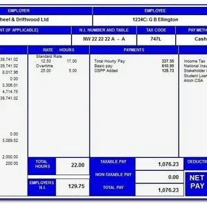 How to Get a Replacement Payslip? A Comprehensive Guide